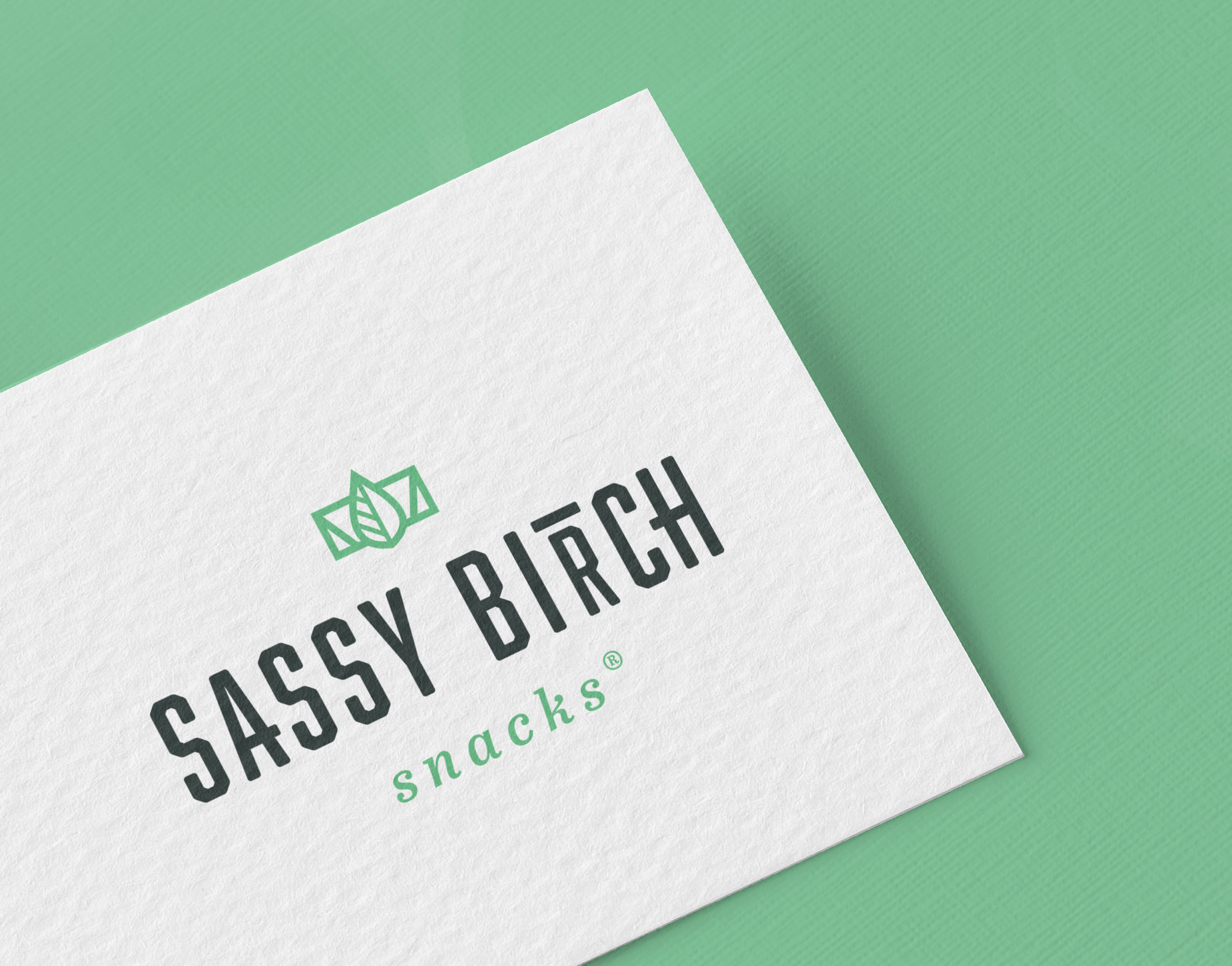 Sassy Birch Snacks - Creative Chameleon Studio