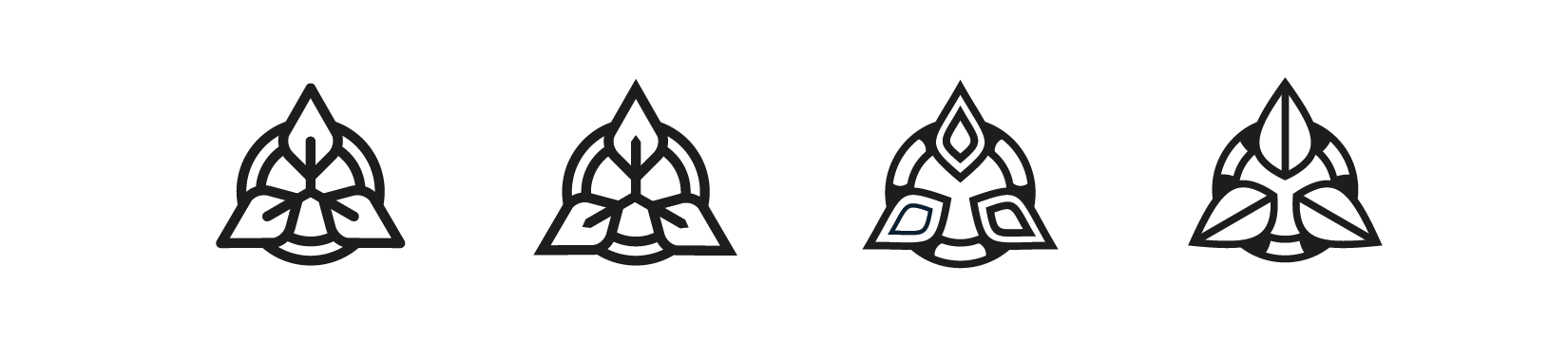 The Concannon Family Foundation - Creative Chameleon Studio