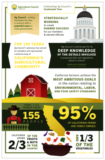 Print Work - Creative Chameleon Studio