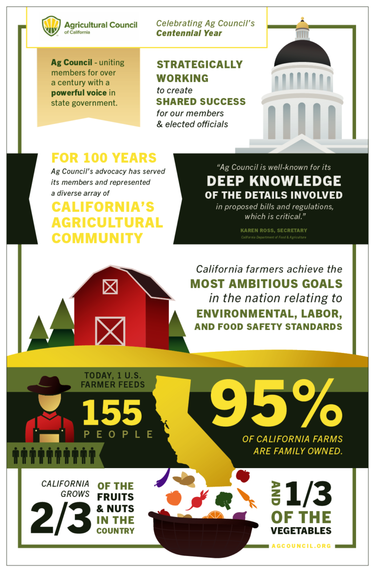 Print Work - Creative Chameleon Studio