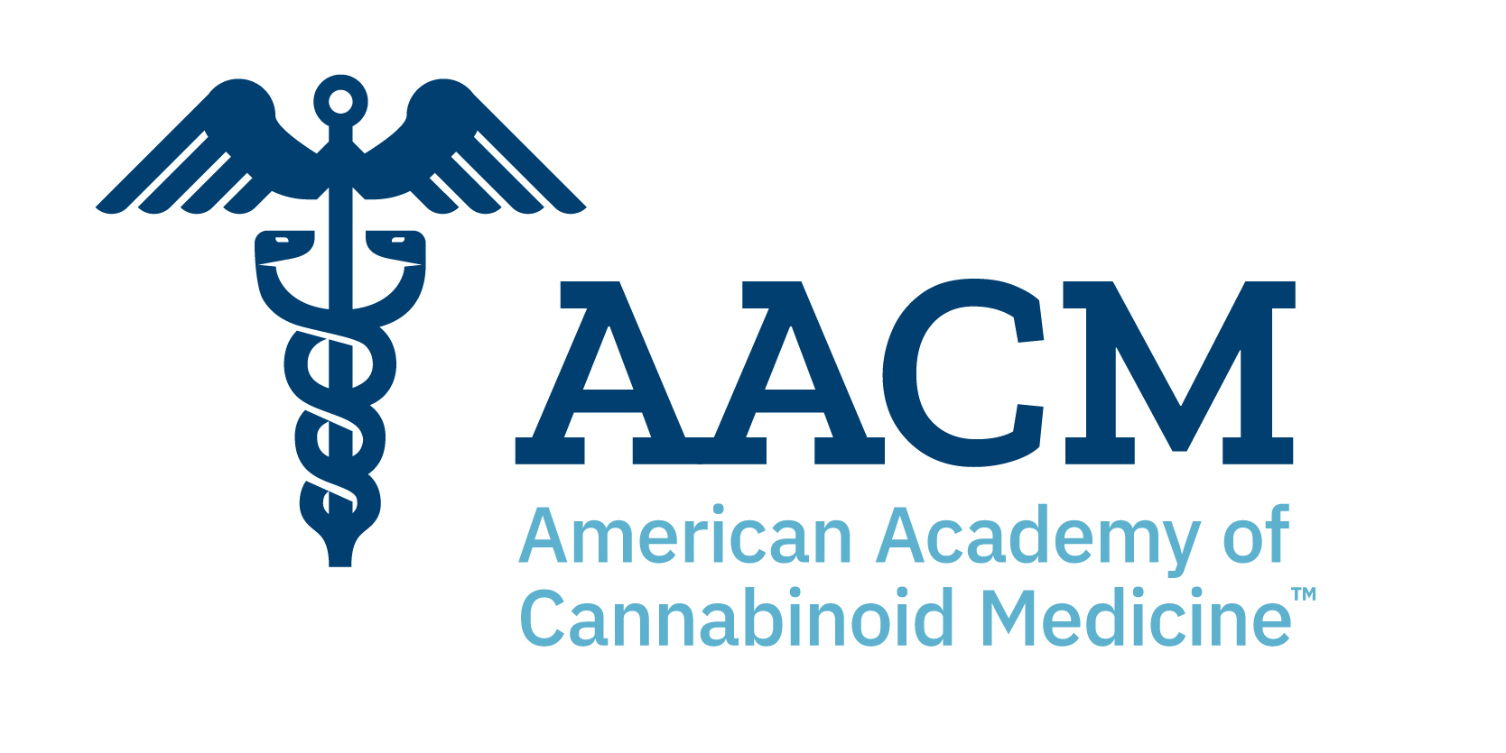 AACM - Creative Chameleon Studio