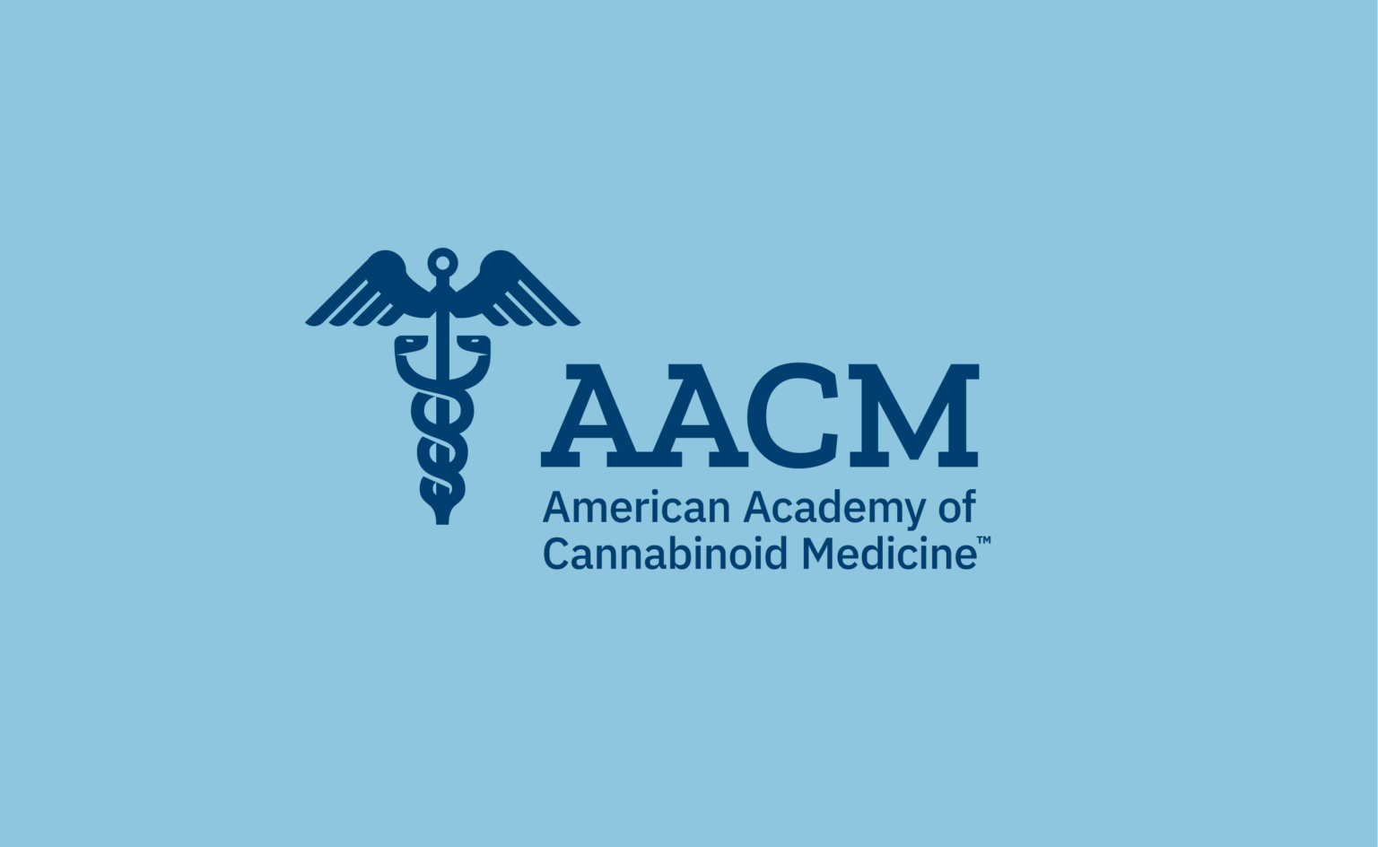 Work - Creative Chameleon Studio