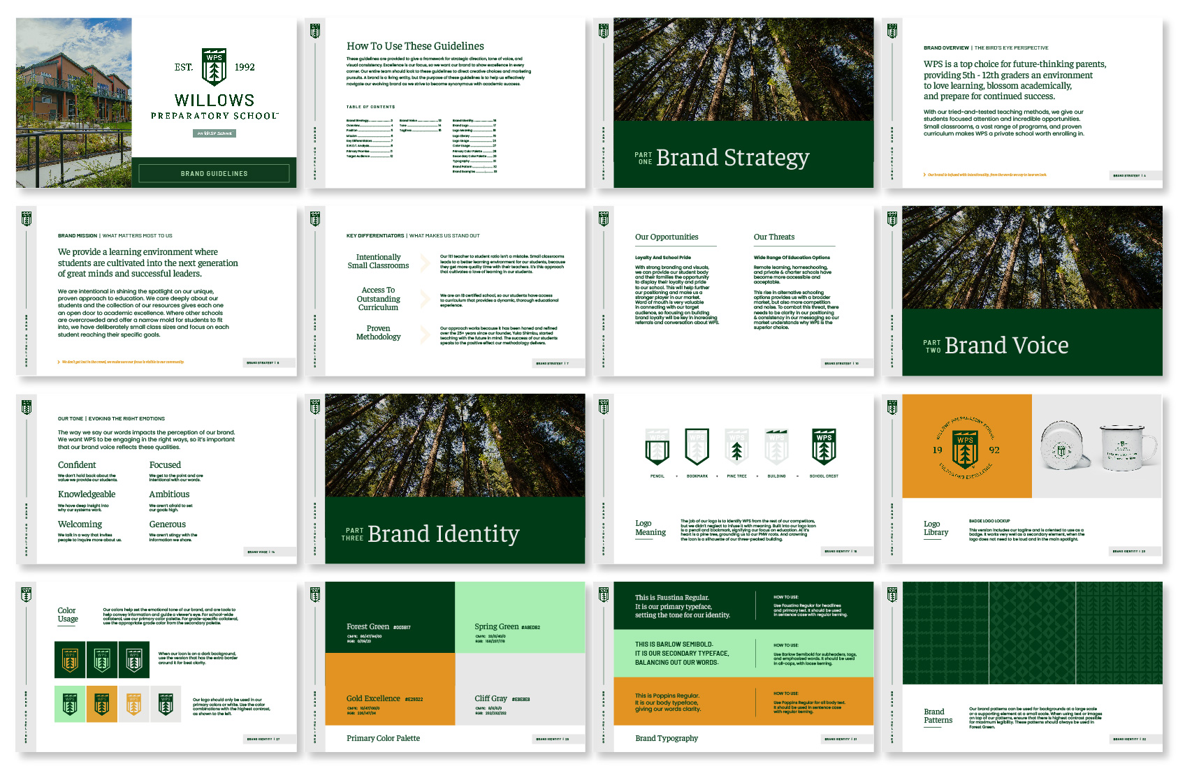 Visual Identity Design - Creative Chameleon Studio