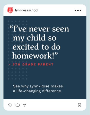 Lynn-Rose School - Creative Chameleon Studio