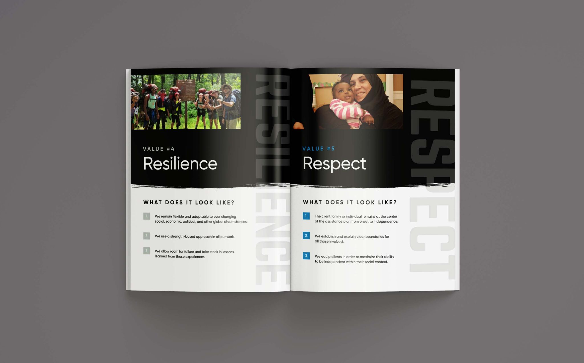 RAP Strategic Plan - Creative Chameleon Studio